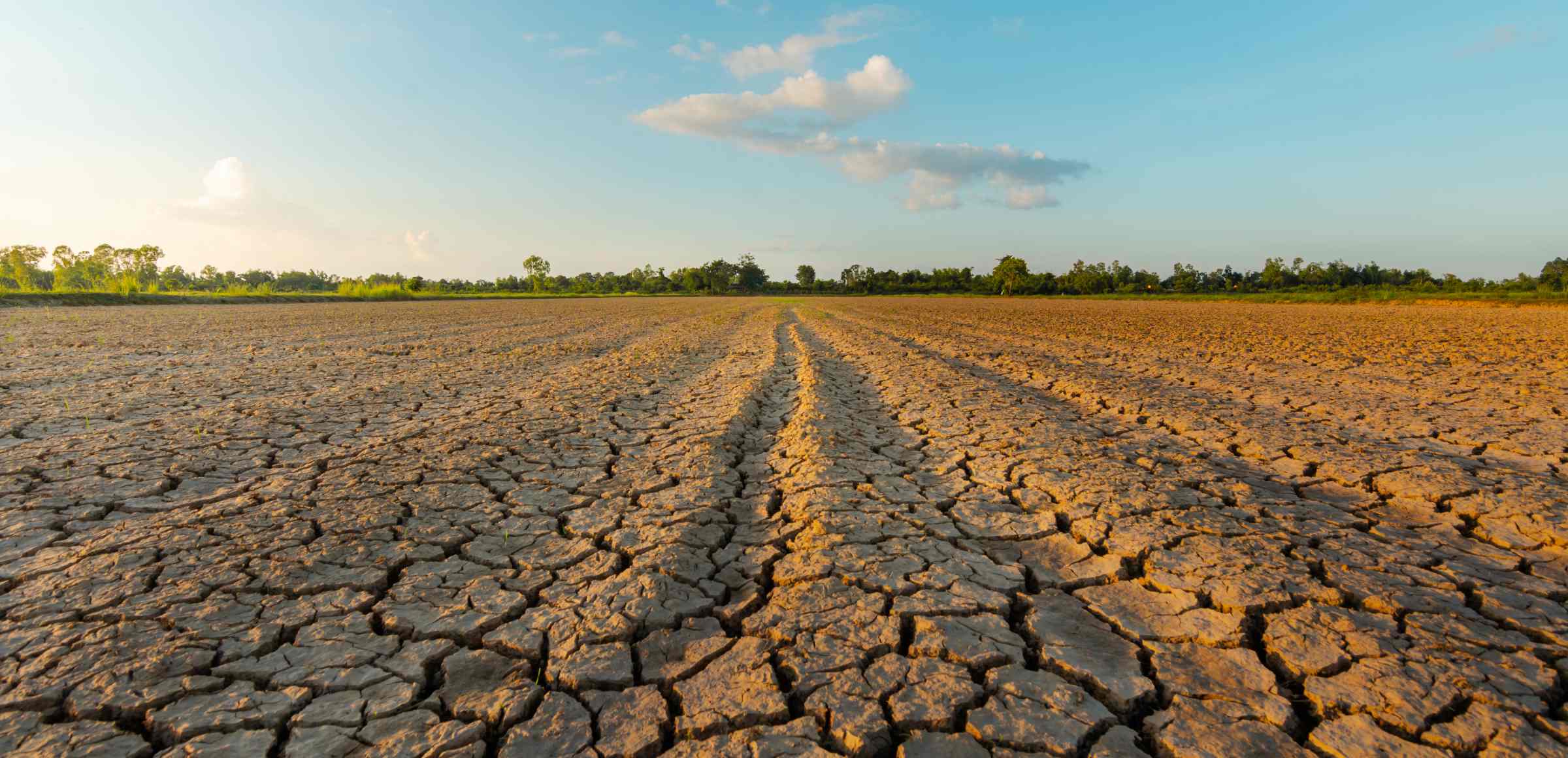 Catalunya Grapples with Drought Crisis: Emergency Measures Implemented ...